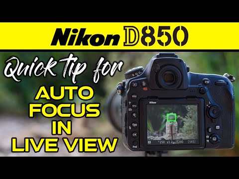 Nikon D850: Autofocus in live view (tips) (1585)