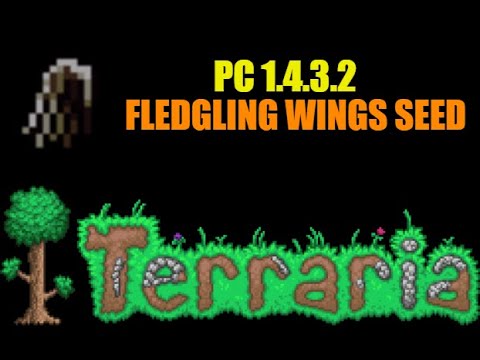 Terraria PC 1.4.3.2 Fledgling Wings Seed With Bonus Flippers In The Sky!!