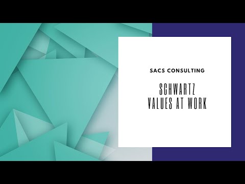 Schwartz Personal Values Questionnaire - Examples of core personal values at work