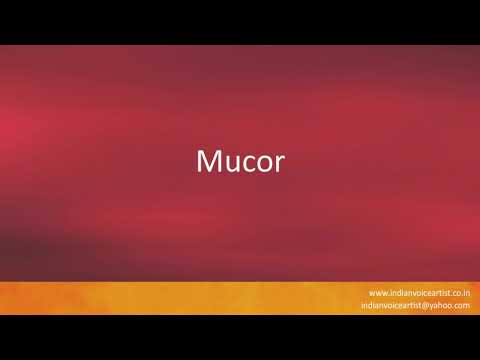 How to pronounce the word(s) "Mucor".