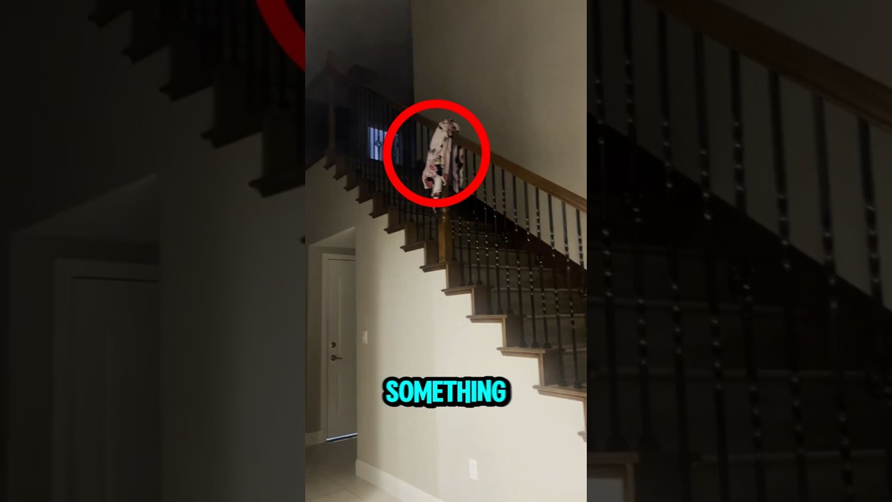 If You Saw This Start Moving… RUN IMMEDIATELY ❗❗