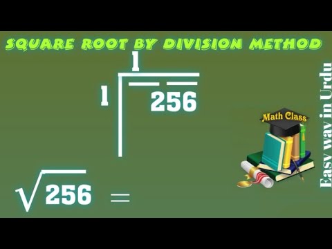 Find Square Root by Division Method in Urdu, Square Root of 256 (√256)