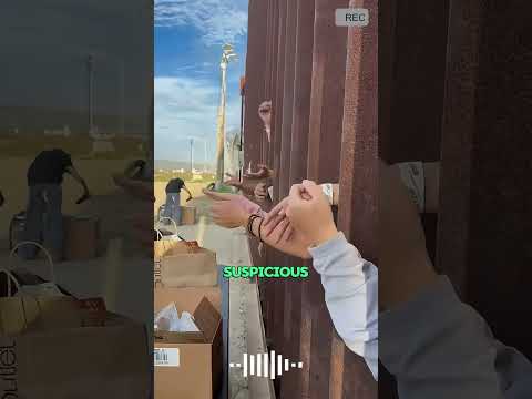 Construction of the US-Mexico border wall