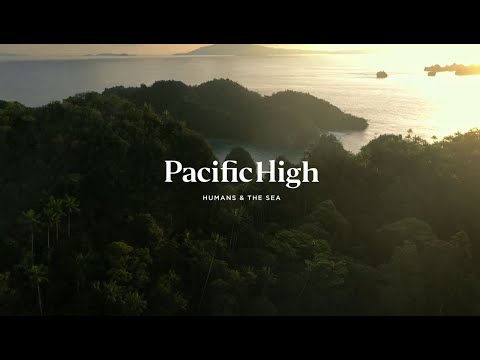 Senja Private Yacht Charter - Misool Raja Ampat Liveaboard - Pacific High Cruise
