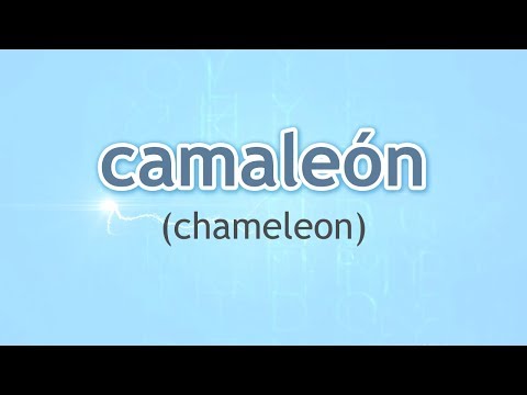 How to Pronounce Chameleon (Camaleón) in Spanish