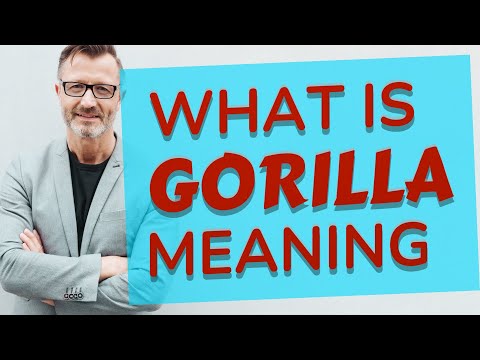 Gorilla | Meaning of gorilla 📖