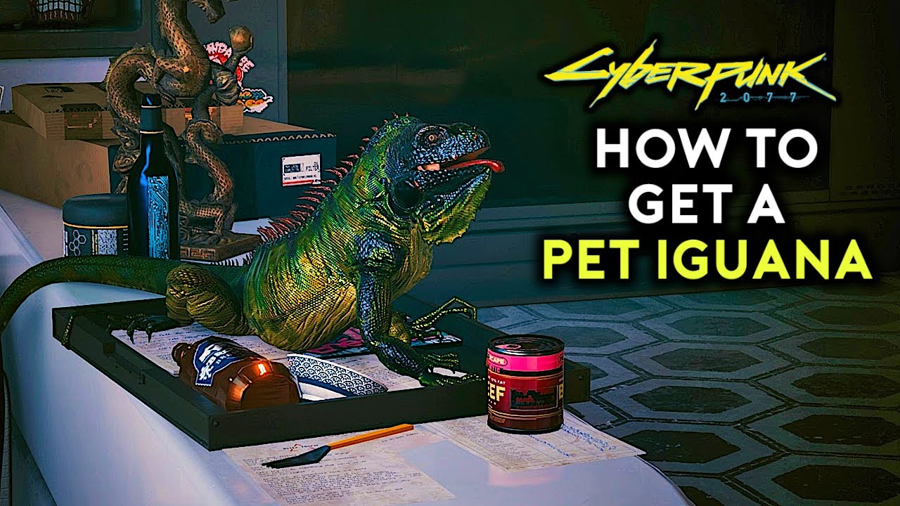 Cyberpunk 2077 Secret Iguana Pet Easter Egg (NEW Patch 1.5 DLC Content)