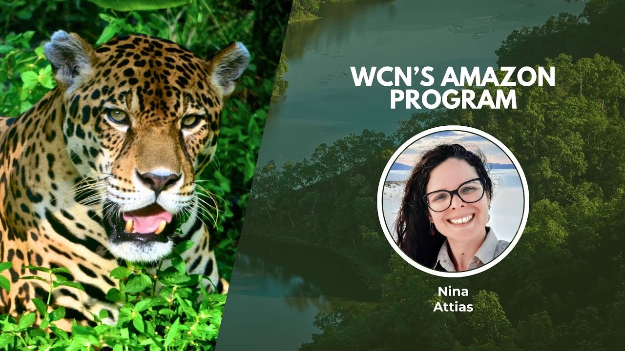 Protecting the Amazonia Rainforest | Wildlife Conservation Expo