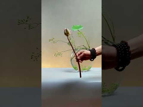 MR Gong flower