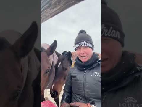 Ask Maya VLOG: How do you stay motivated in the winter? – EQUEST DRESSAGE