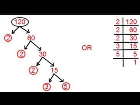 Factor Tree Of 120|Prime Factorization Of 120