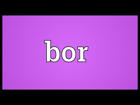 Bor Meaning