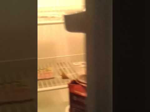 EMPTY REFRIGERATOR IN SPAIN....FRIGORÍFICO VACÍO EN ESPAÑA 😢