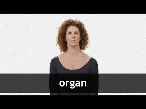 ORGAN definition in American English | Collins English Dictionary