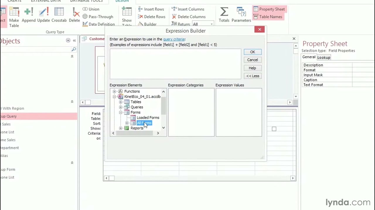 Access Tutorial - Exploring the Expression Builder interface