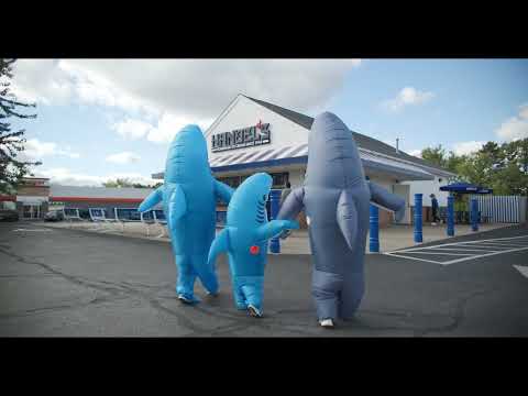 YBI Shark Visits Handel's