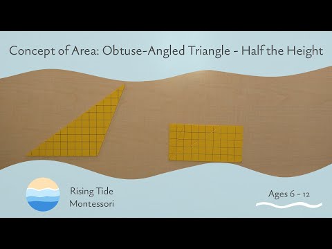 Concept of Area: Obtuse-Angled Triangle - Half the Height
