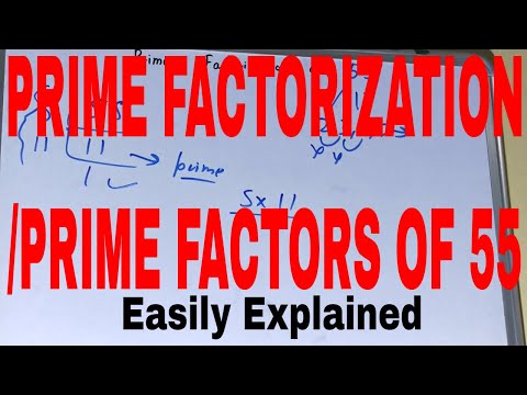 Prime factorization of 55|Prime factors of 55|Write prime factorization of 55|55 prime factors
