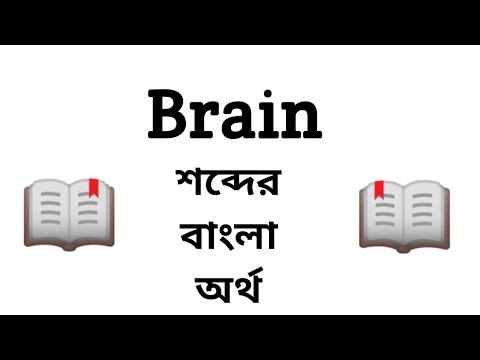 Brain Meaning in Bengali || Brain শব্দের বাংলা অর্থ কি? || Word Meaning Of Brain