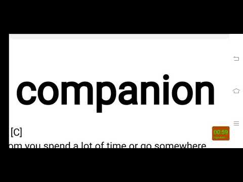 companion Meaning in Hindi