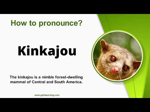 How to Say Kinkajou [ American Accent ]