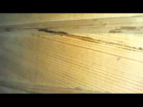 A look inside Torres’ paper mache guitar | Great Guitars of the Past