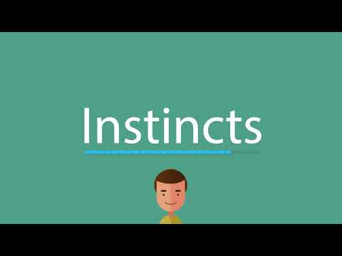 How to say Instincts