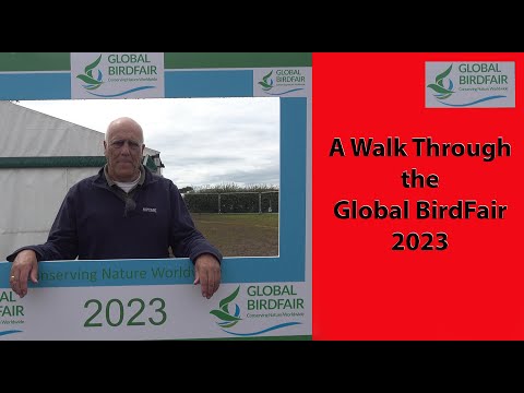 The Global Bird Fair at Rutland in Leicestershire 2023 – Mike Lane's ...