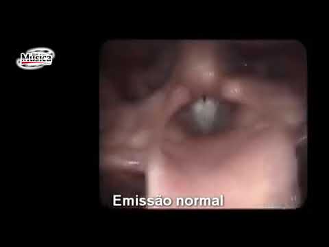 Les Algériens regardez sas ces jolies pour une femme avec un homme sexe