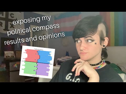 taking and analysing the entire political compass test