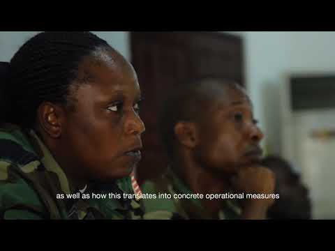 What do our Armed Forces & Non State Armed Groups Delegates do? | Working for the ICRC