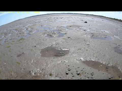 Mudflats