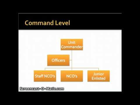 Chain of Command and Environmental Interference