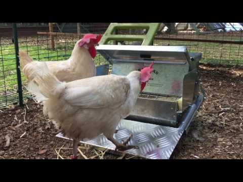 Grandpa's Feeder