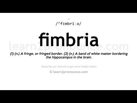 How to pronounce Fimbria | English pronunciation