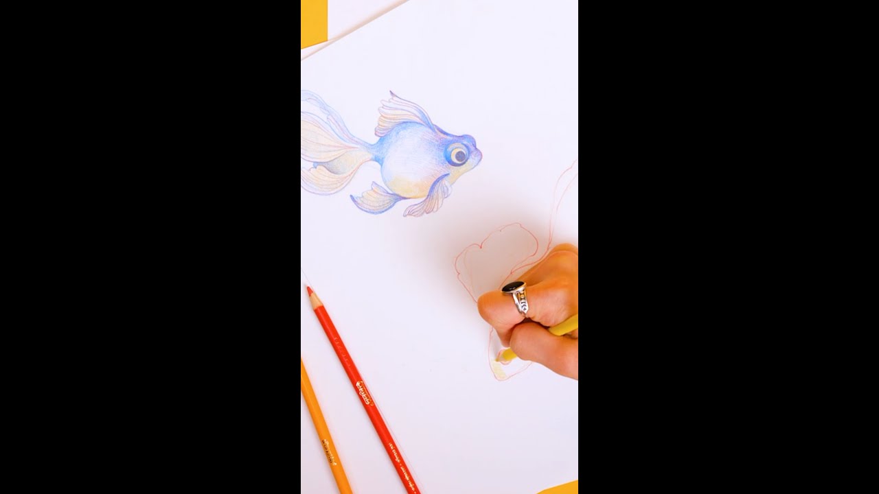 Back to School Essentials: Crayola Colored Pencils