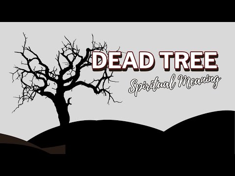 Dead Tree Spiritual Meaning