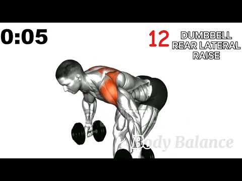 The Best Shoulder Exercises (Barbell-Dumbbell Only)