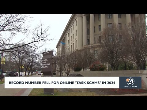 Record number fell for online task scams in 2024
