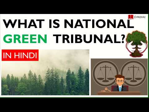 What is National Green Tribunal? | NGT - structure, principles, powers & appeal | UPSC SSC PSC