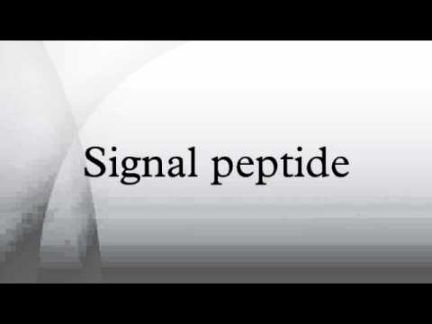 Signal peptide