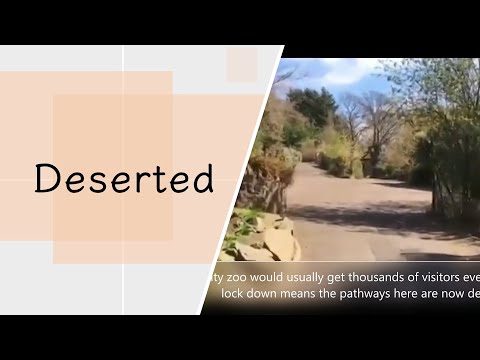 'Deserted' | Edinburgh Zoo during Lockdown | Beyond the Dictionary