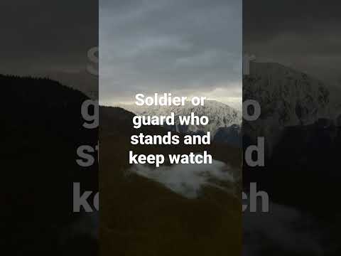 Sentinels meaning
