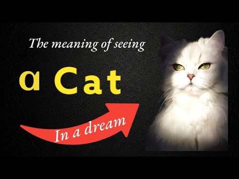 Cat dream meaning and symbolism