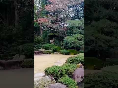 What is Wabi Sabi trying to explain ? | Japanese philosophy | Ease it !!