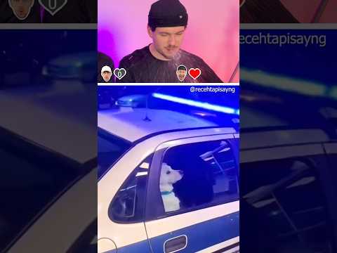 Try not to Laugh 😂🚨 | 523 #funny
