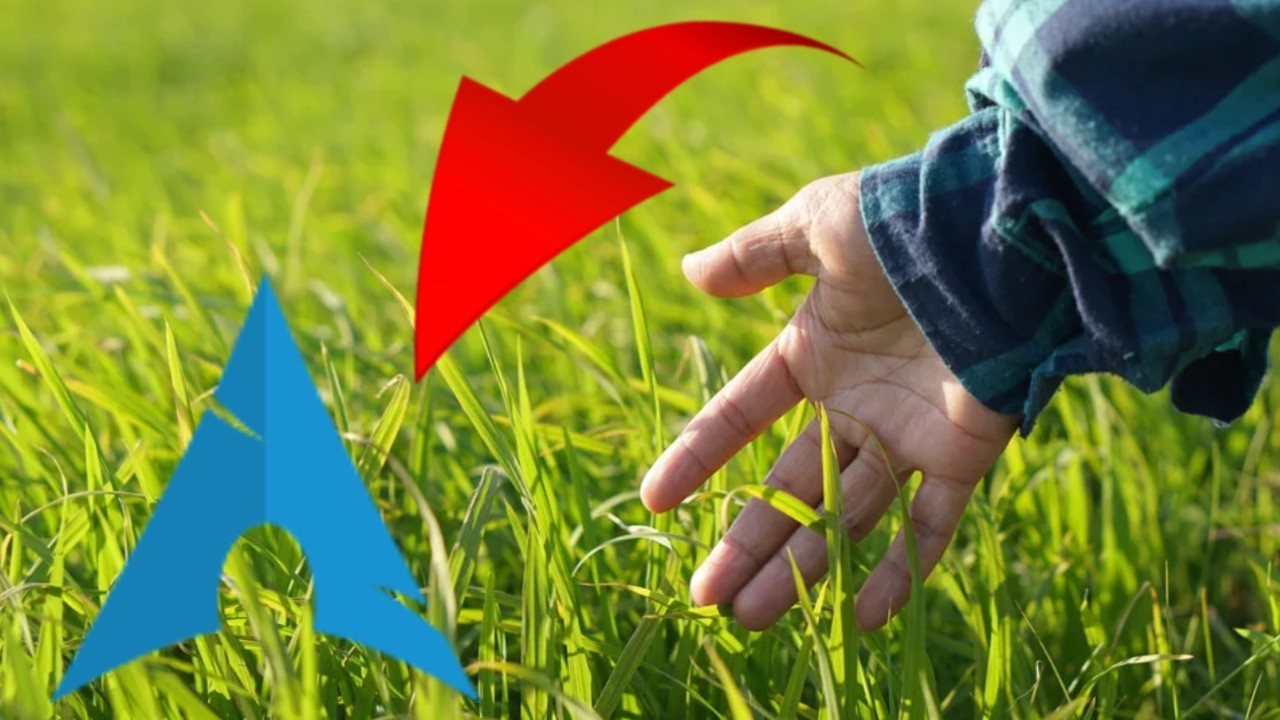 How to Touch grass as a Arch user