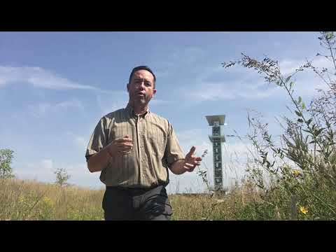 Humility vs Self Deprecation - Rhoads Life Coaching