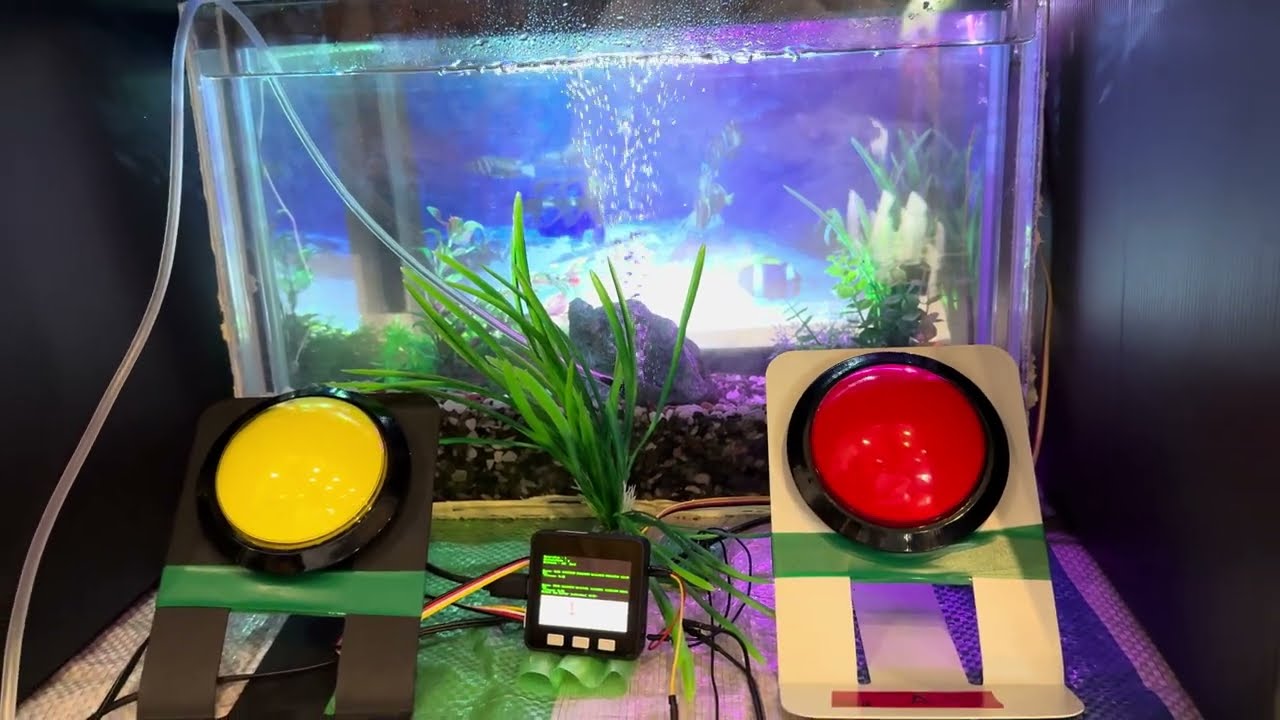 自律進化型デジタルアクアリウム「HoloSequence Aquatica」