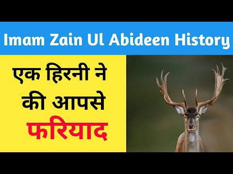 Hazrat Imam Zain Ul Abideen Documentary In Urdu | Imam Sajjad Story | Ali Bin Hussain